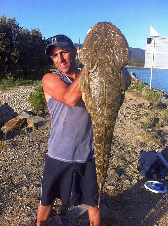 International Fishing News: AUSTRALIA: record flathead landed?