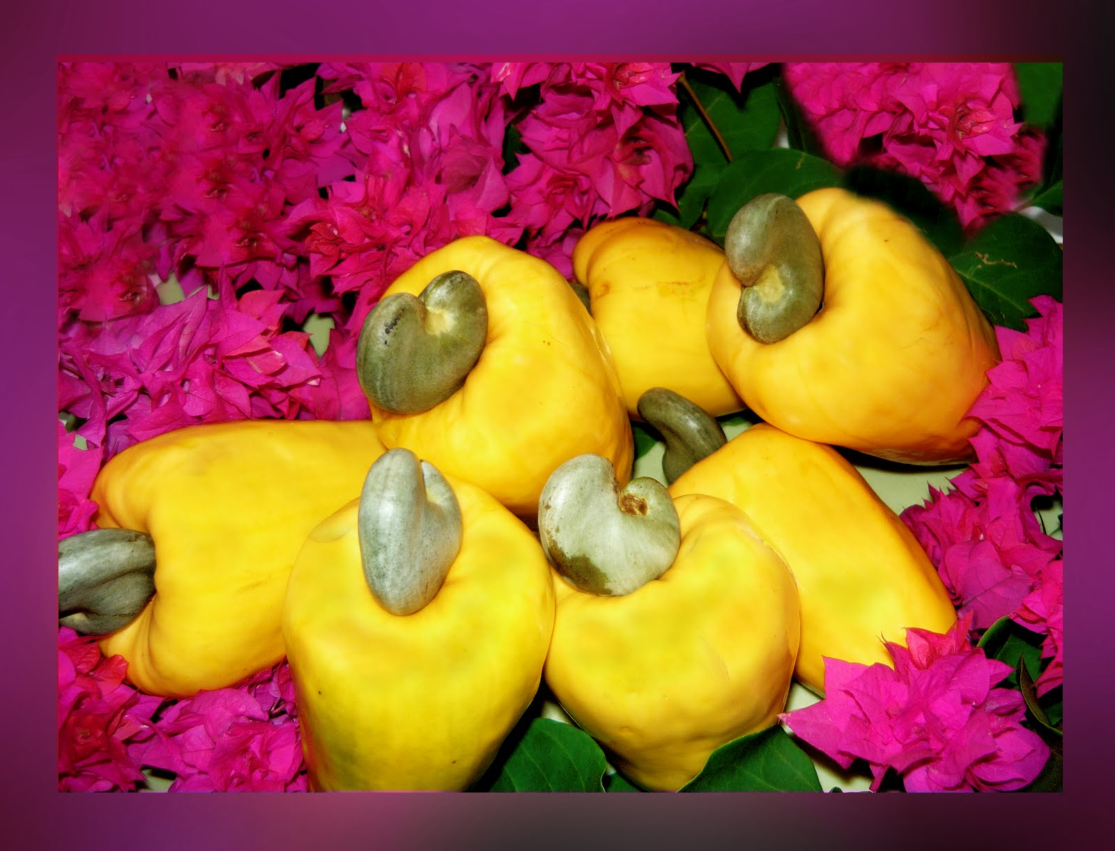 BIENVENIDOS: EL MARAÑON FRUTA DE TEMPORADA