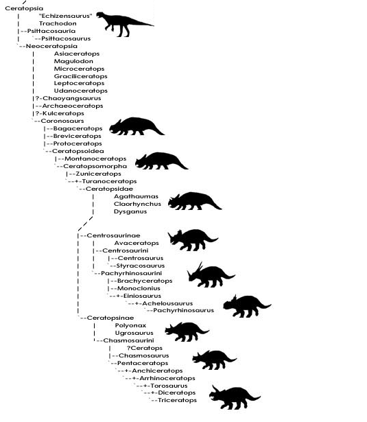 Stone of Orthanc: Ceratopsians and Phylogeny