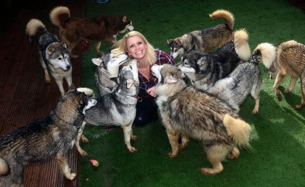 How Many Is Too Many Dogs