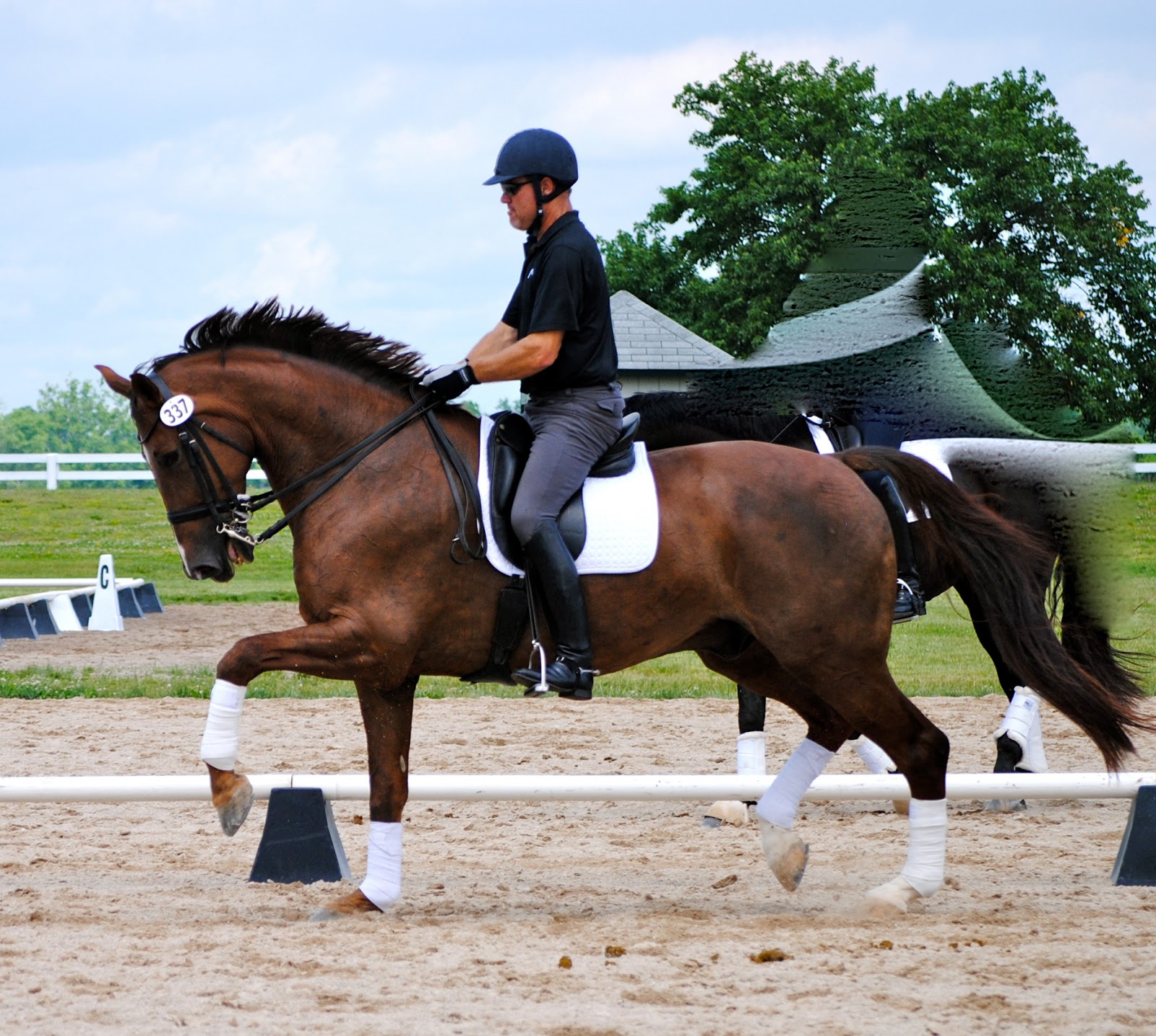 Boyd and Silva Martin: Photos from Day One at the Kentucky Dressage ...