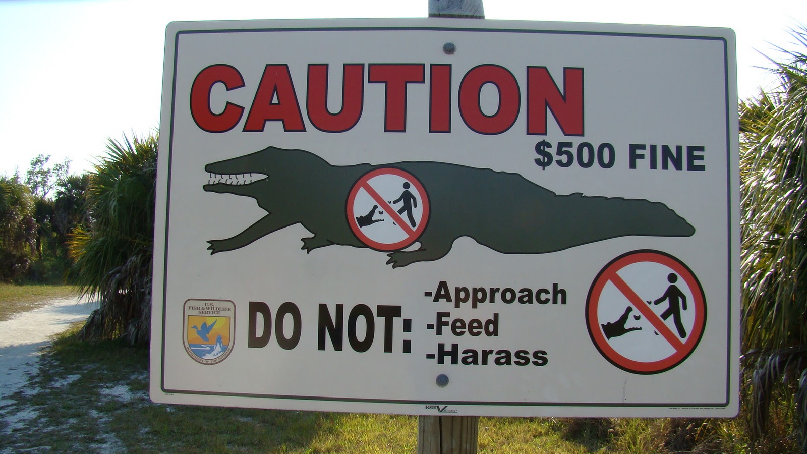 Burly Bird: Florida AVICATION Part II: The Glades...