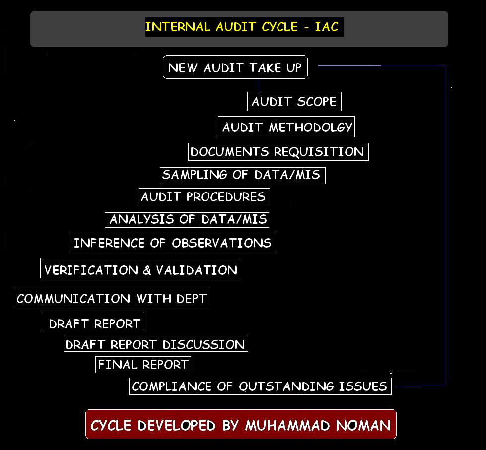 Internal Audit Specialist: Internal Audit Cycle - IAC