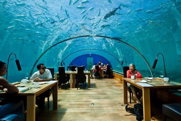 Ithaa Underwater Restaurant, Maldives ~ ARHGUZ