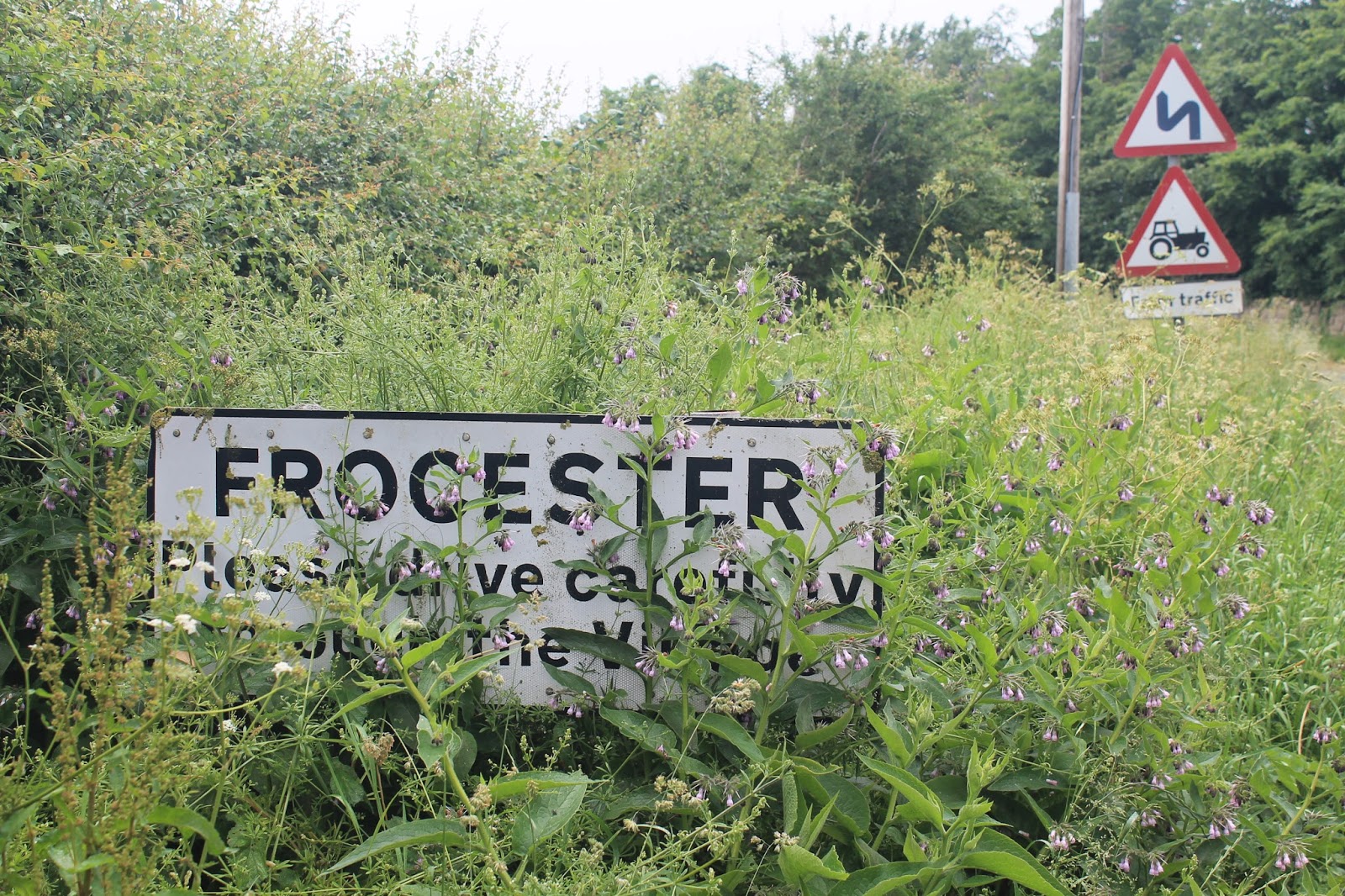 Walking the Chesters: 2016