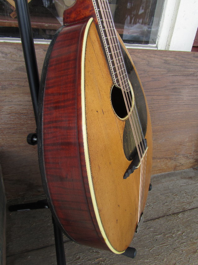 1914 Weymann Style 40 "Mandolute" Mandola