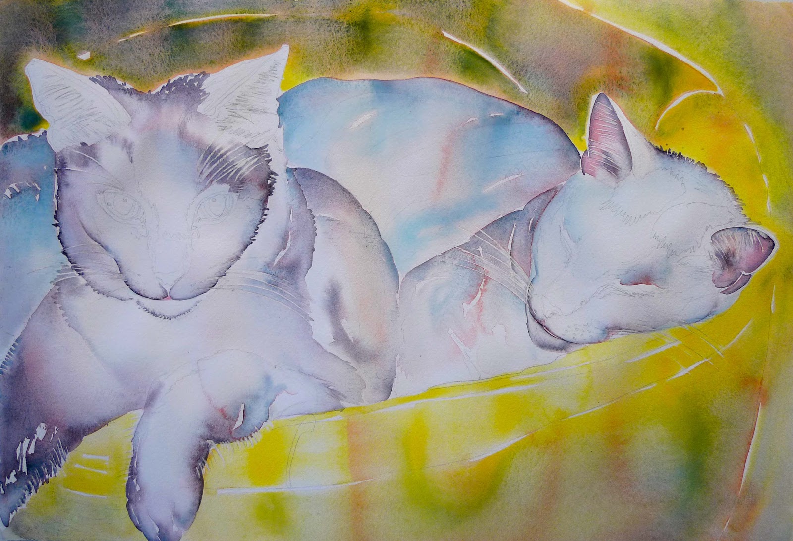 paintings: Cat Commission- watercolor