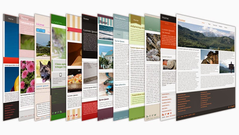 The Technology World: Top 5 Easy to Use Web Designing Software