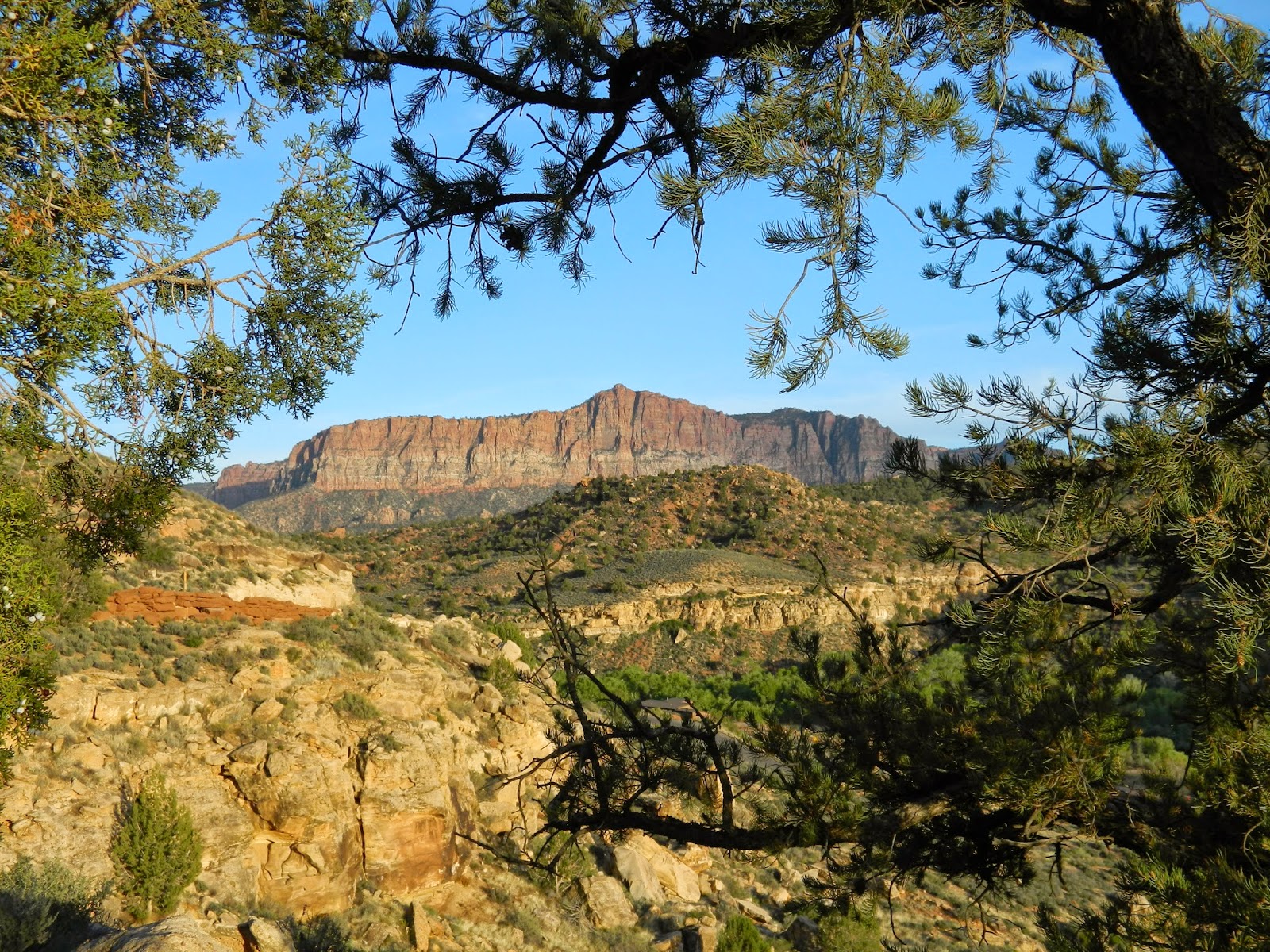 Dancing 'Cross the Country: The Chinle Trail: Zion National Park