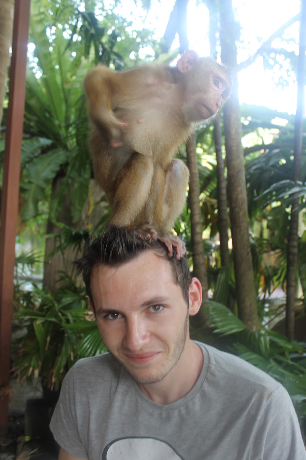 Our Thailand Trip: That Monkey Just Did A Wee on Me - Days 10 & 11