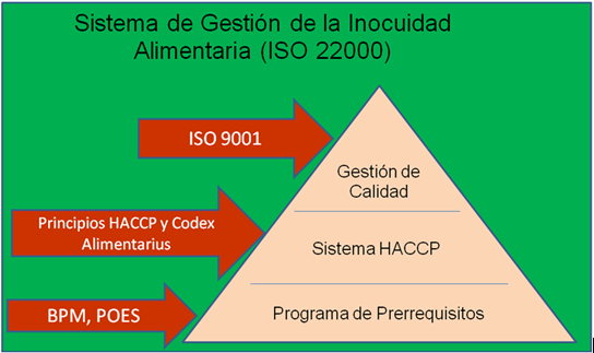 Que Es Haccp Bpm Iso - Descargar Libros Gratis