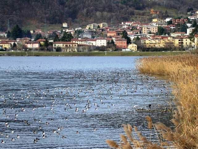 Inuit del Lario: IL LAGO DI OLGINATE: GEOGRAFIA E STORIA