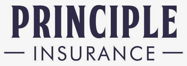 Principle Insurance, Inc.- Inside the Industry & Mind of an Agency Owner