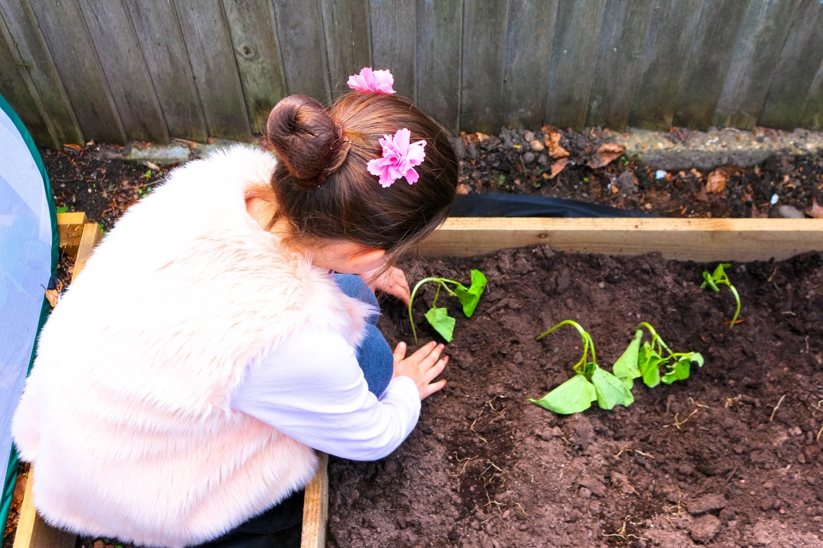Growing our First Vegetable Garden. - Thimble and Twig