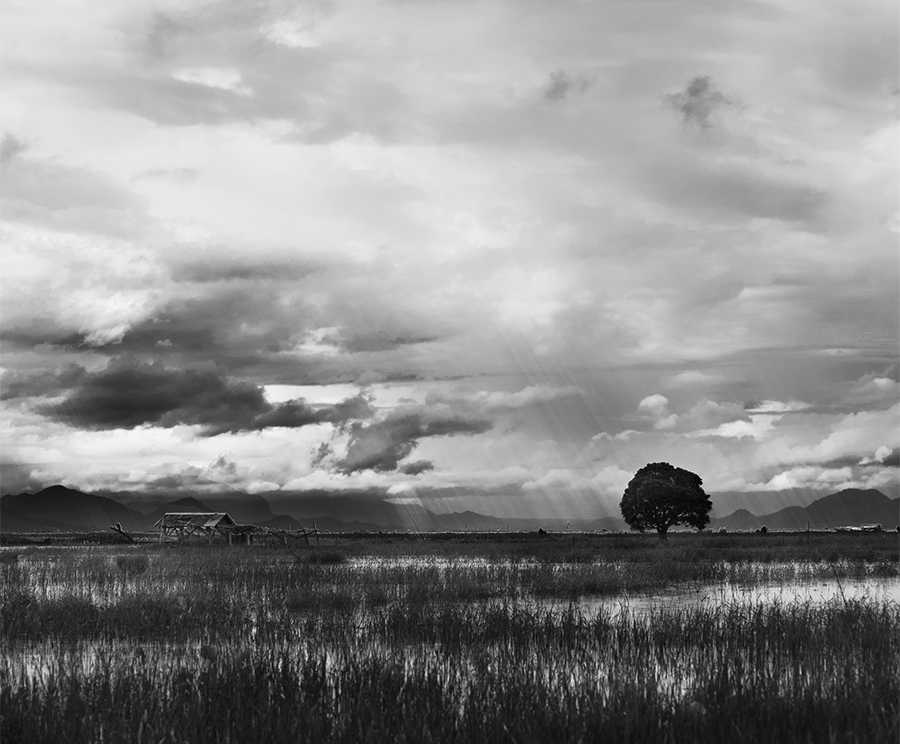 Photography in passion: Field of lonely