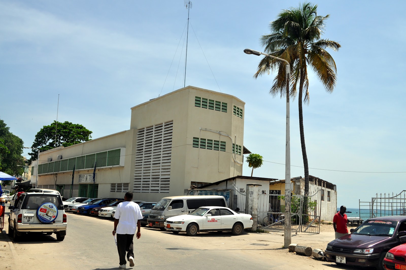 Funzibar!: Seagrass in Zanzibar