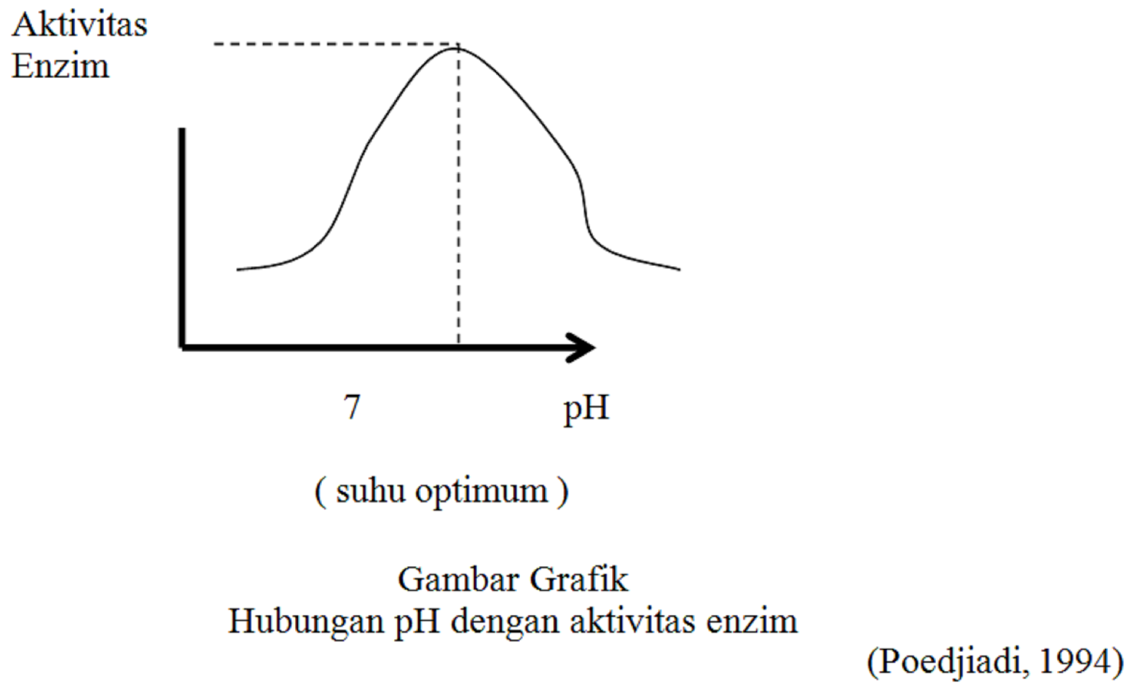 PERCOBAAN VII REAKSI KIMIA III : KATALIS ENZIMATIS (KIMIA DASAR II ...