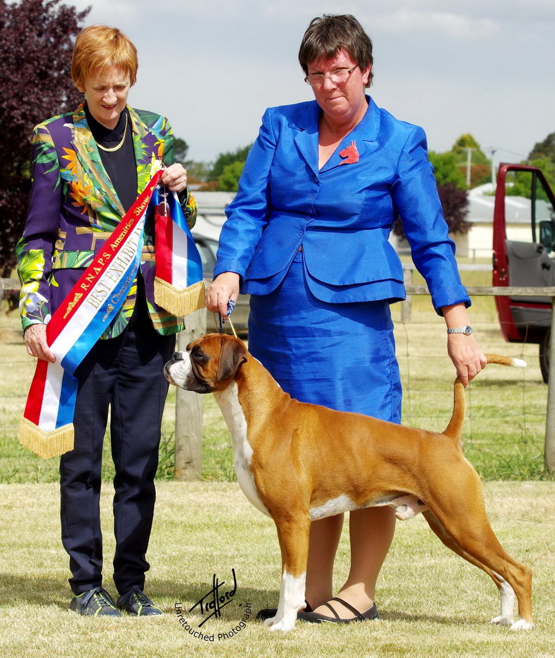 TraffordPhotos - Australian Dog Show Photos: THE ROYAL NATIONAL ...