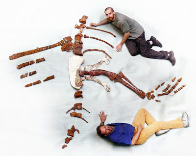 Mark P. Witton's Blog: The Spinosaurus saga continues