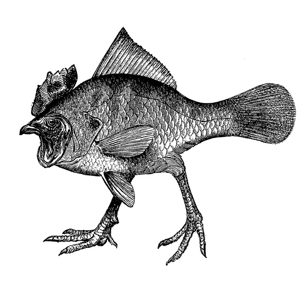 Animalarium: Strange Relics