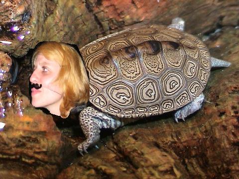 Hairy Business: TURTLE PEOPLE