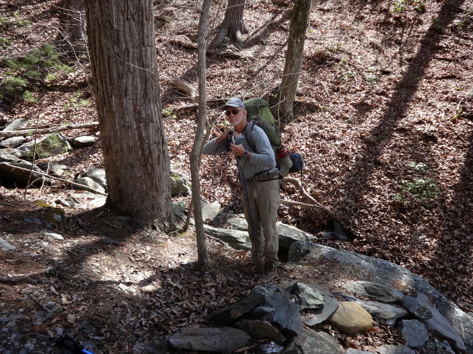 Appalachian Trail Section hiking: Punchbowl Shelter to Highway 60