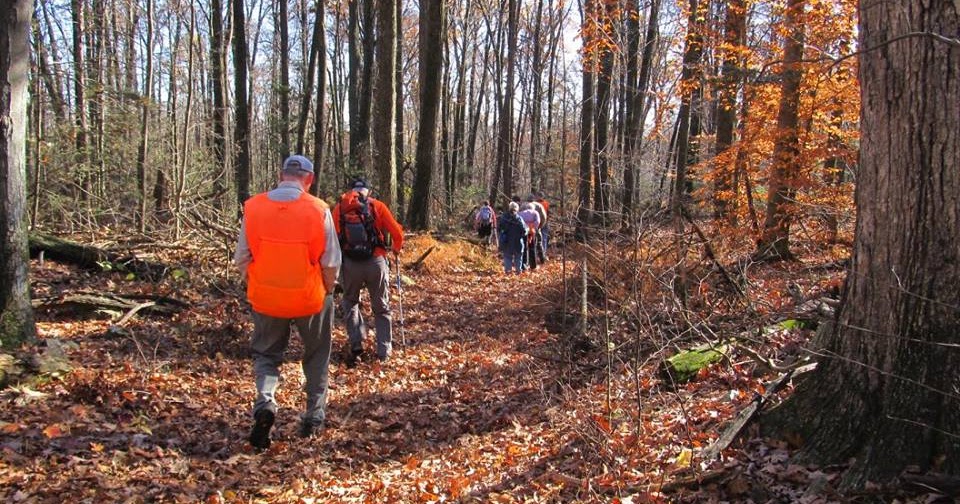 Wanderers of Berks County: Thursday Nov 17, 2016 - Sand Spring & Tom ...
