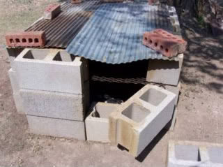 Cowgirl's Country Life: Cooking Whole Hog on a Cinder Block Pit