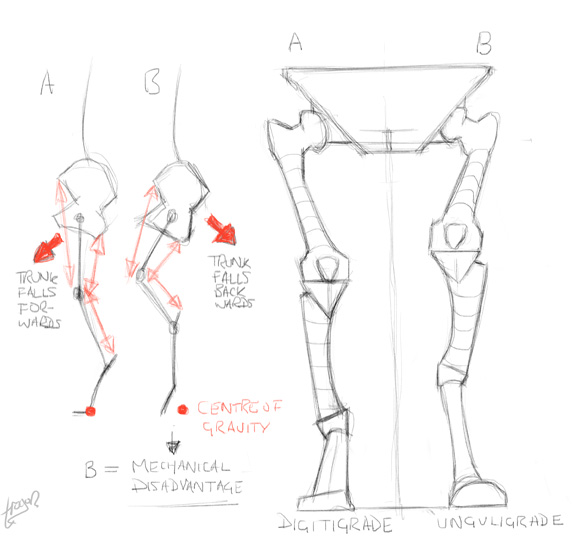 Anthro Anatomica: 2013