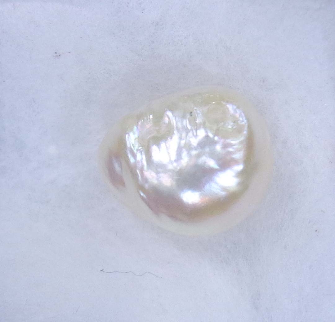 SHRI GEMS: Natural Basara Pearl Carat 7.03