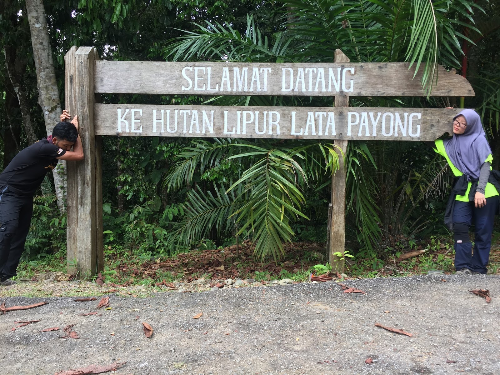 Live, where your heart finds life ツ: Gunung Sarut
