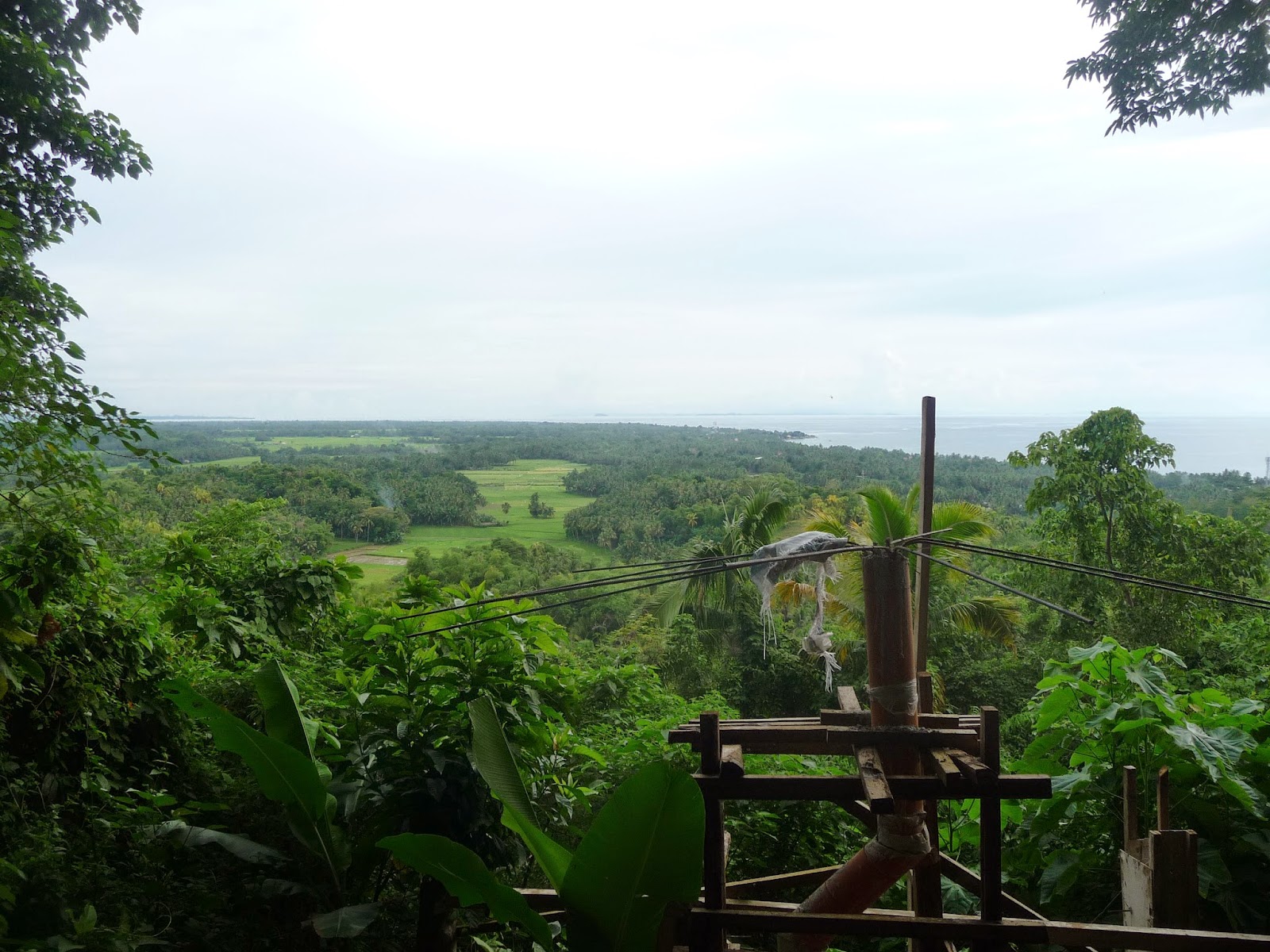 Leyte Places: Hindang Caves and Wild Monkeys