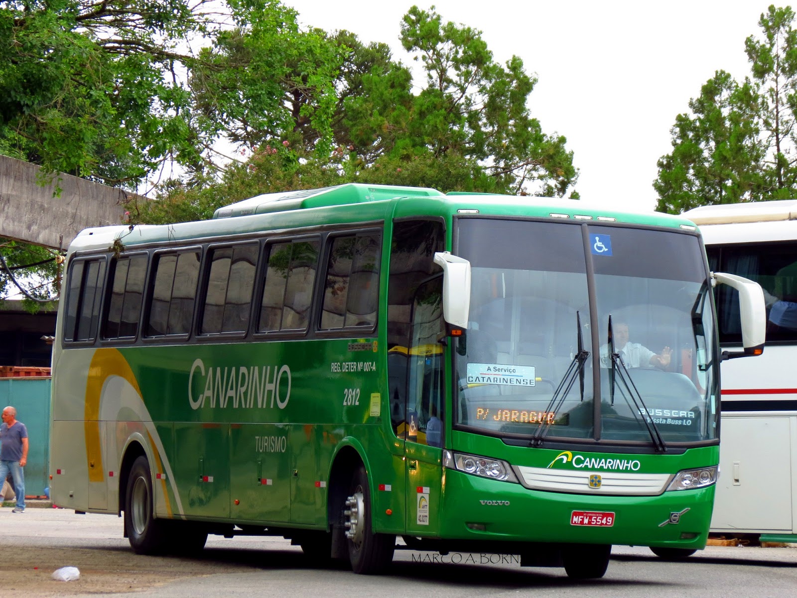 NACIONAL BUS: VIAÇÃO CANARINHO