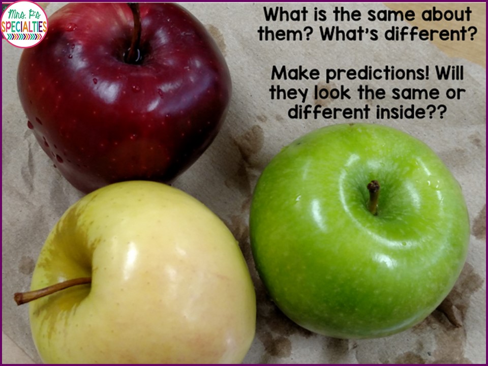 Easy Fall Science Activities For Special Education Classrooms · Mrs. P ...