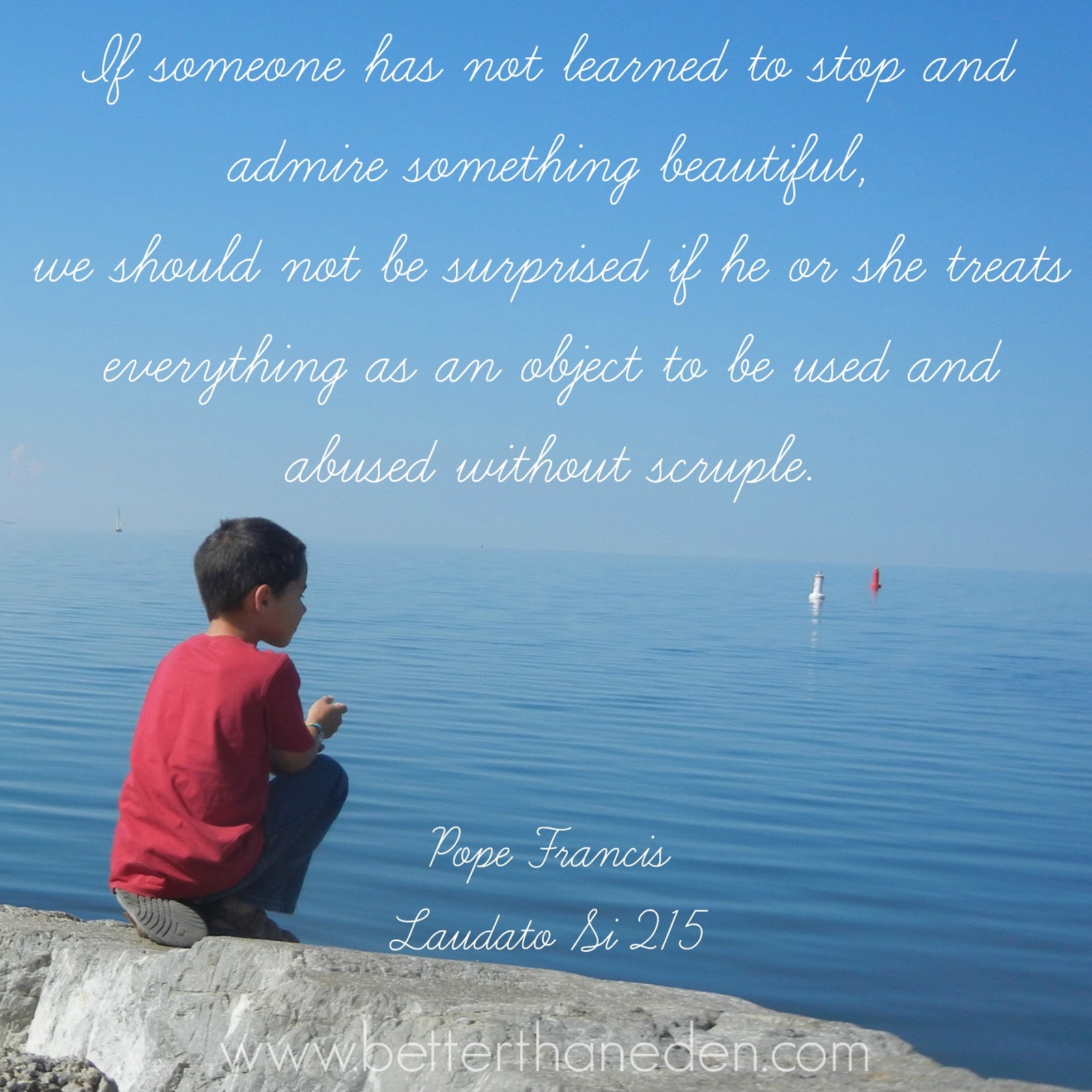 The Quotes I'm Loving From Laudato Si - Mary Haseltine