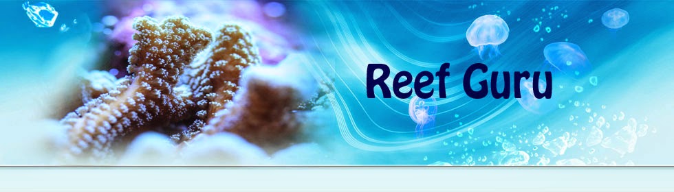 Reef Guru: Vodka - Um método poderoso para a redução de nitratos e ...