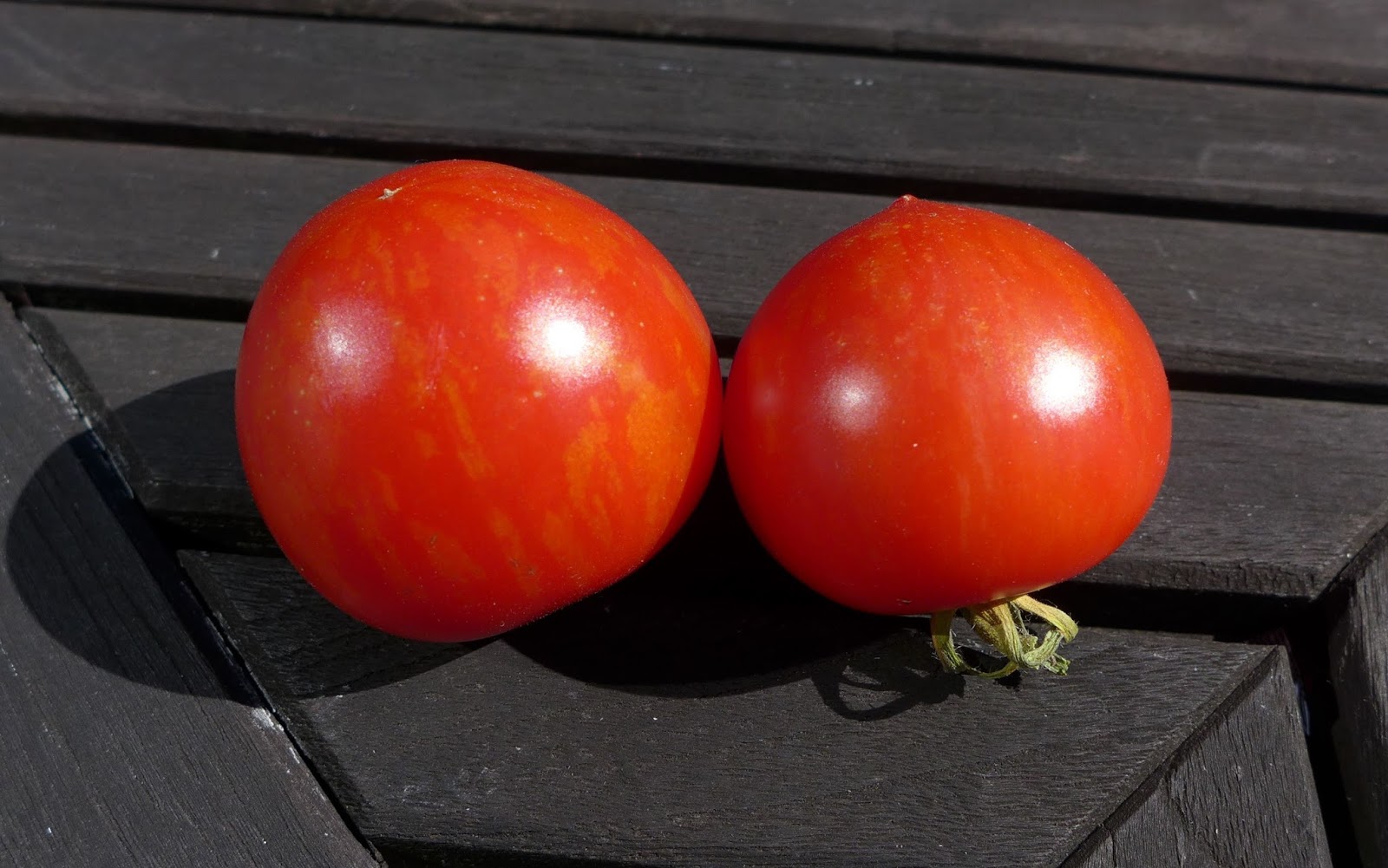 Basicallyitsgrowing: Unusual tomato varieties: tigerella, tumbling ...