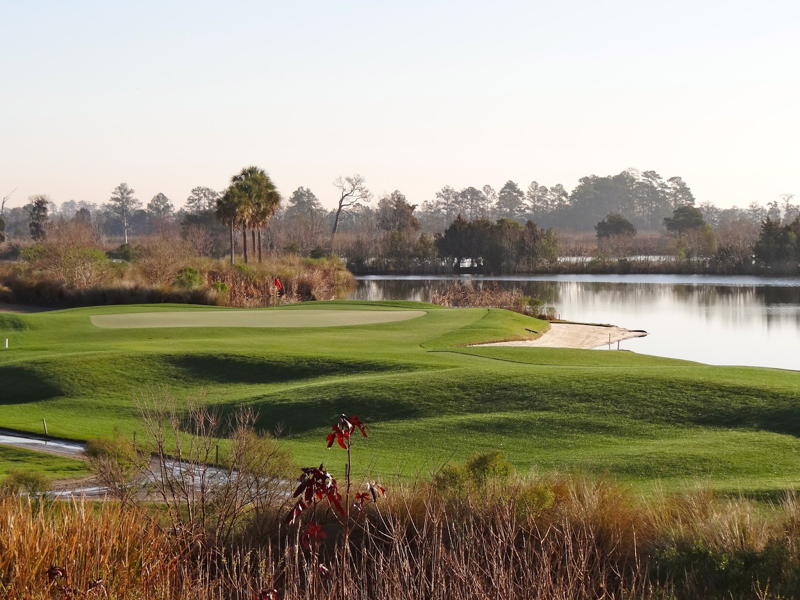 The Ford Plantation Club Agronomy Blog