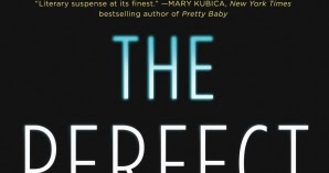 Reviews From The Heart: The Perfect Girl