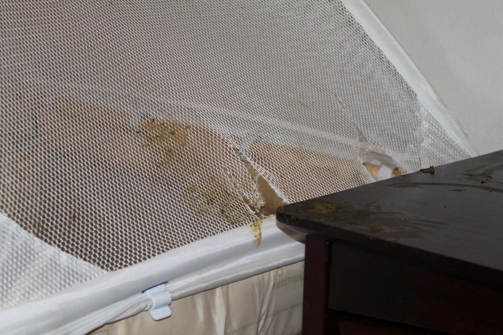 Team Andros: Twin Update 2: Picture Edition