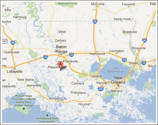 Notes from Maggie's Farm: road trip! the river road: nottoway plantation