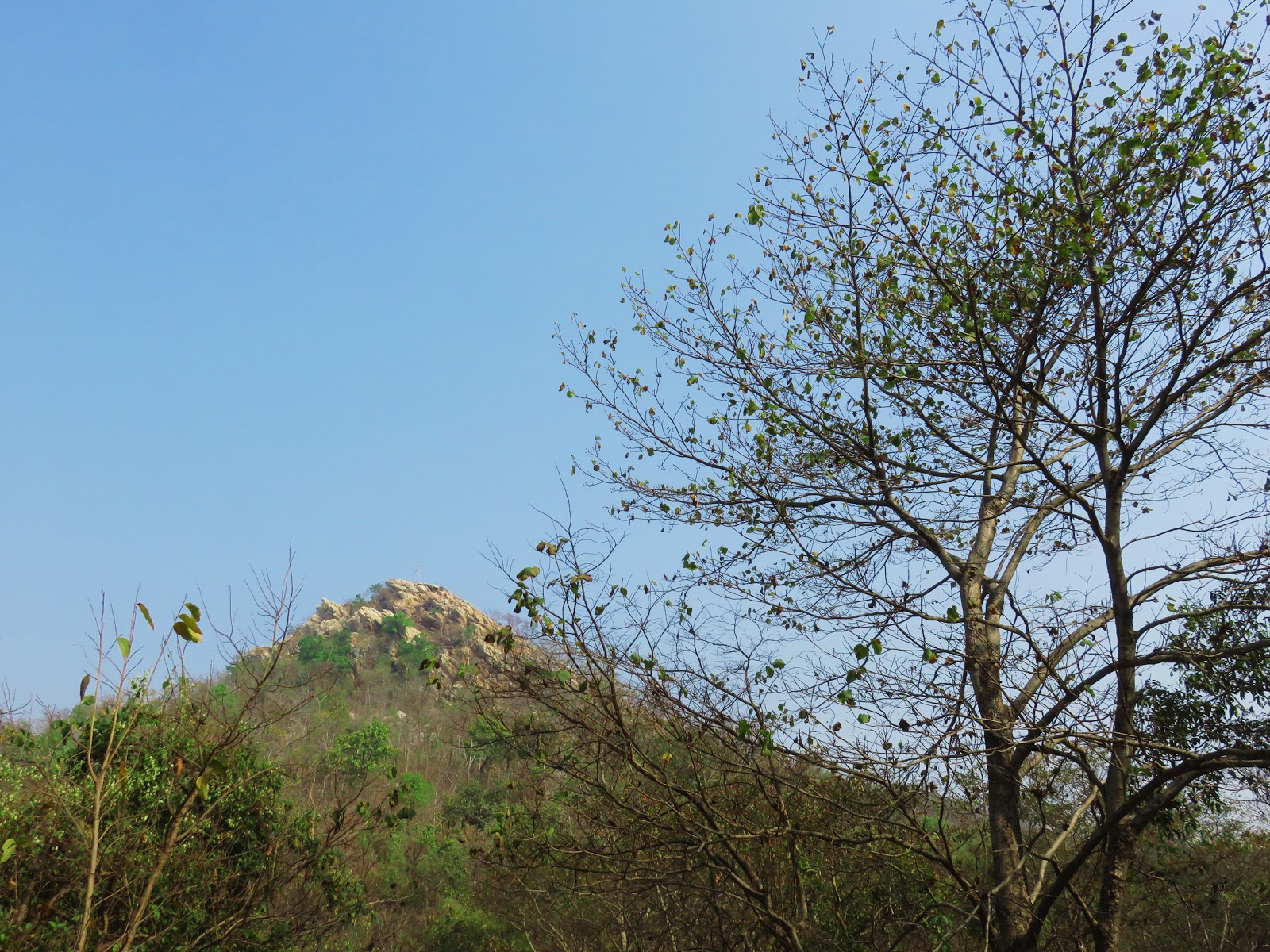 wanderlust: RANKINI TEMPLE NEAR JADUGUDA TOWN JHARKHAND