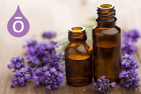 ¿Qué es un Aceite Esencial doTERRA ? ~ My doTERRA Aceites Esenciales ...