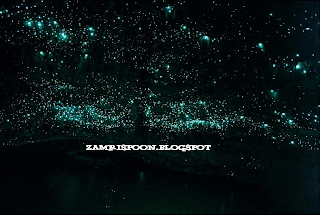 Menakjubkan !! Cacing-cacing Ini Menghasilkan Cahaya.. - Gaban Comel