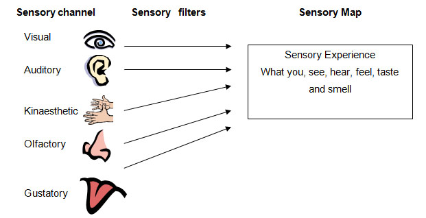 Discovering Yourself: Understanding your Senses - My Strategy is to ...