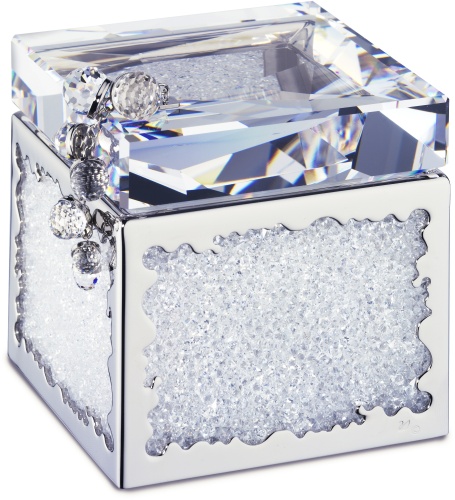 Madame Covet's Style Boutique: Swarovski Treasure Box
