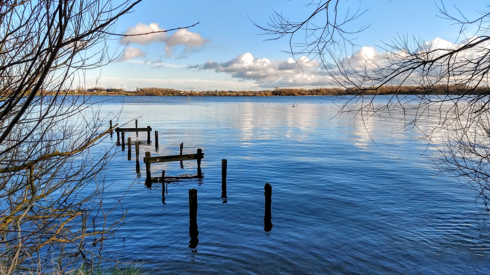 A Passion For Cards: Oxford Island, Co. Armagh, Northern Ireland