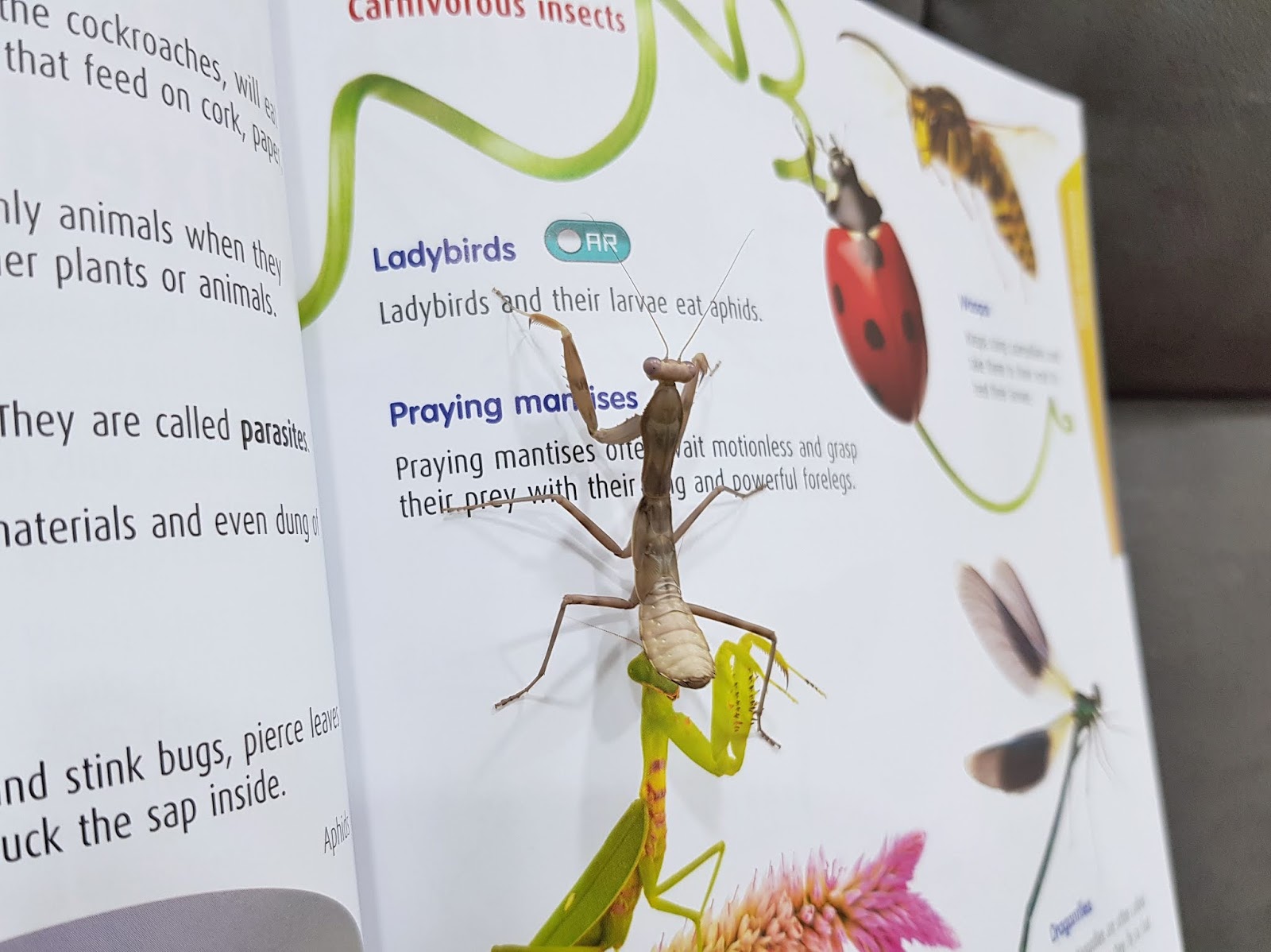 Mini Science Encyclopedia 8th edition