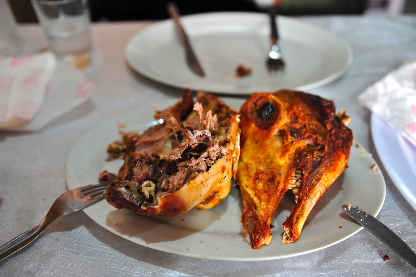 Merlin and Rebecca: Head First Into Albania