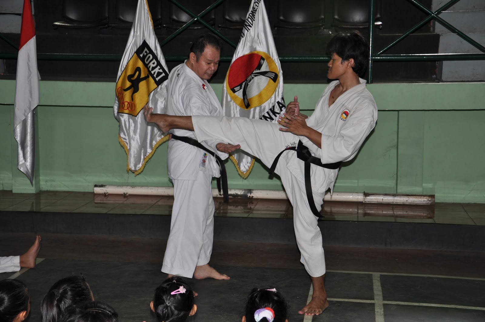 Dewan Guru INKAI: INKAI HONBU DOJO